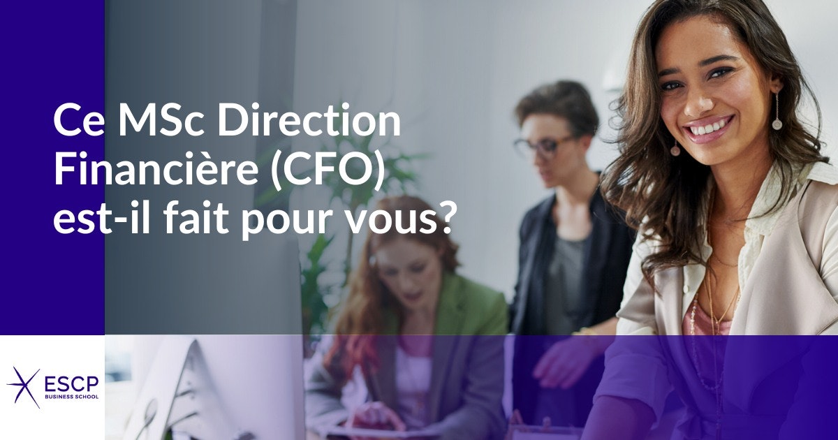 Ce MSc Audit et Direction Financière (CFO) est-il fait pour vous ...